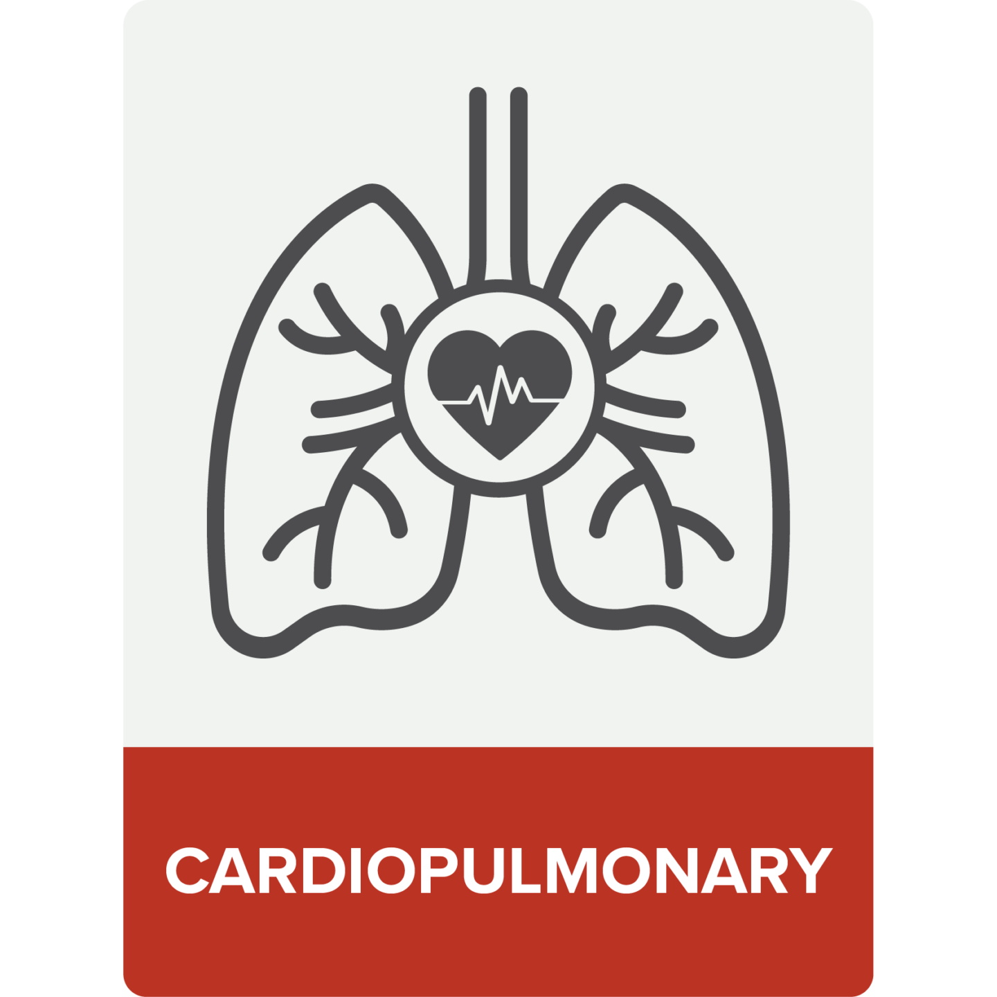 ACP Certified | ACPlus